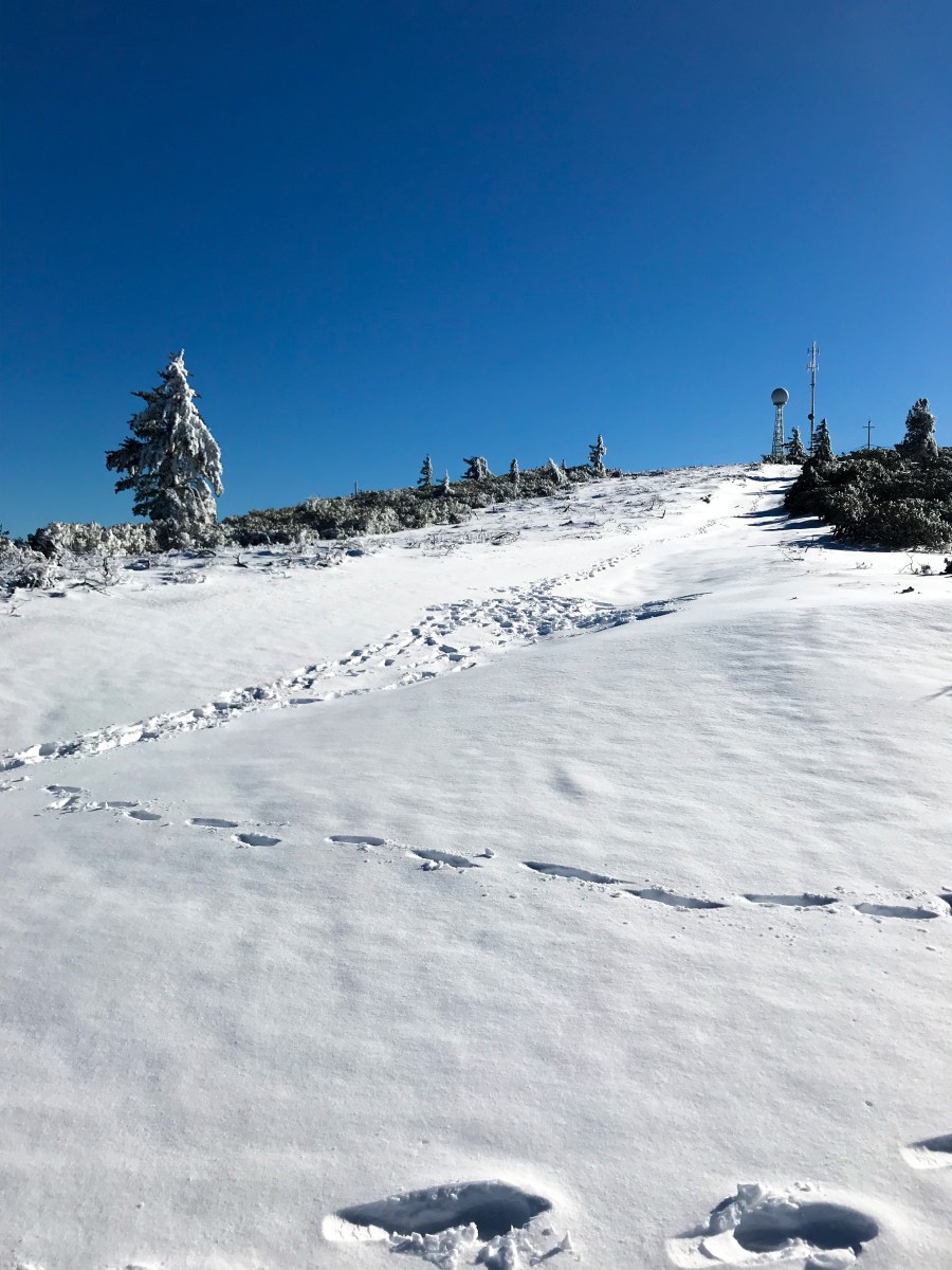 Snow? Is it you? | Mt Saint Helena, CA – Hit the Road with Me