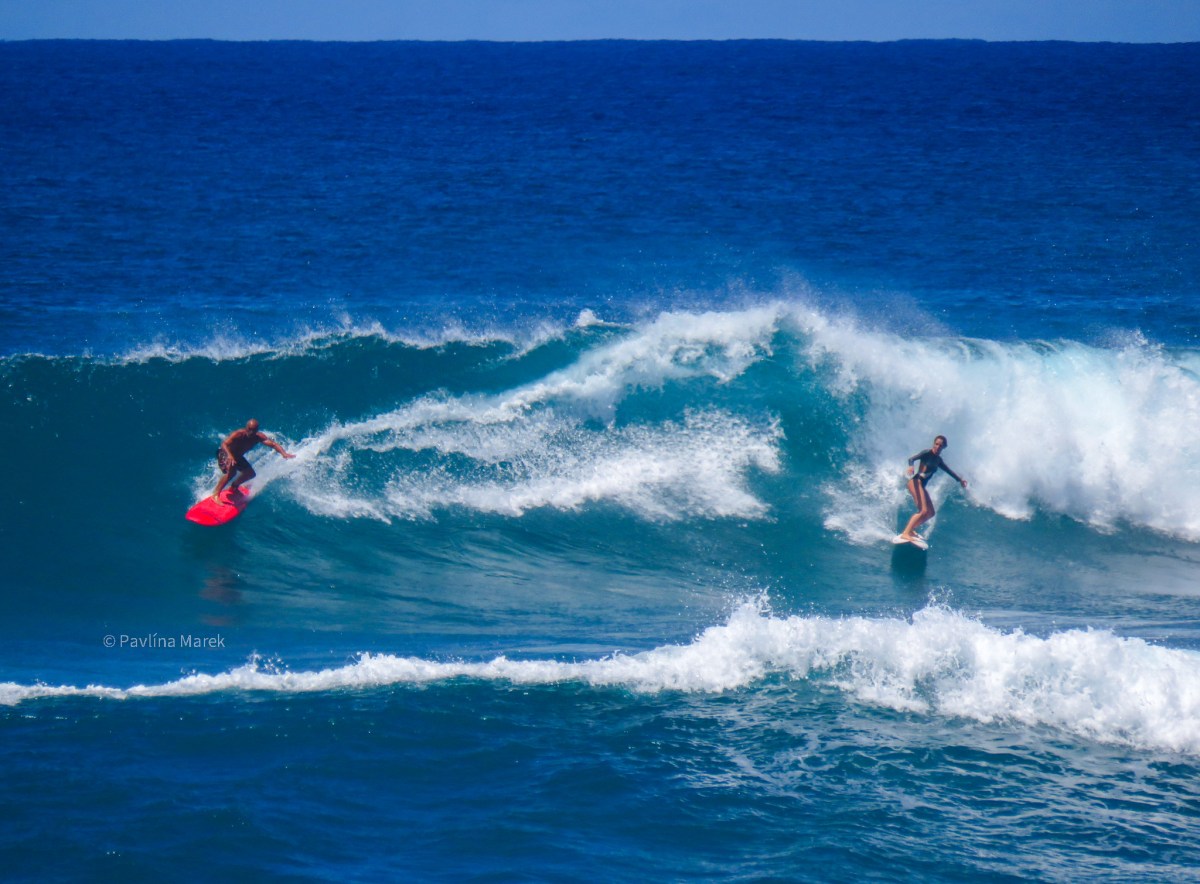 Hawaii, the Land of Life; Lei, Shrimp, Pineapples, and Love – Hit the ...